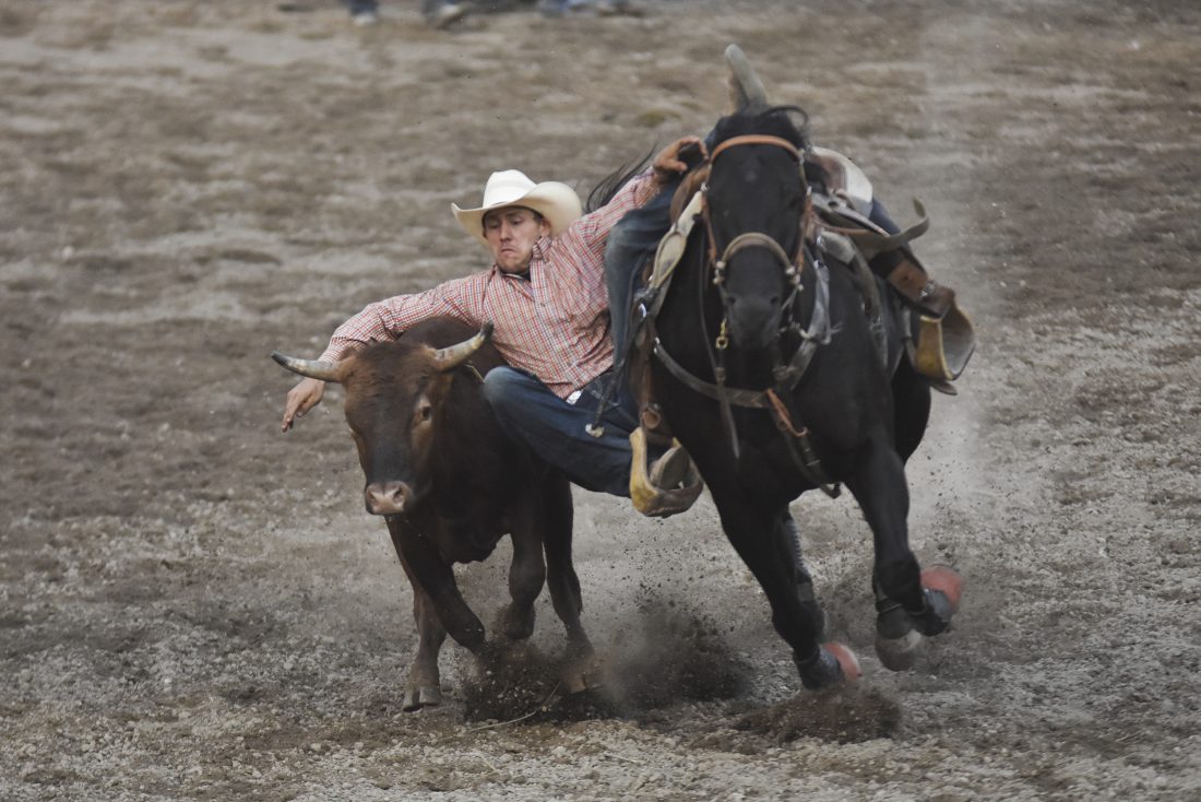 Not their first rodeo | News, Sports, Jobs - Messenger News